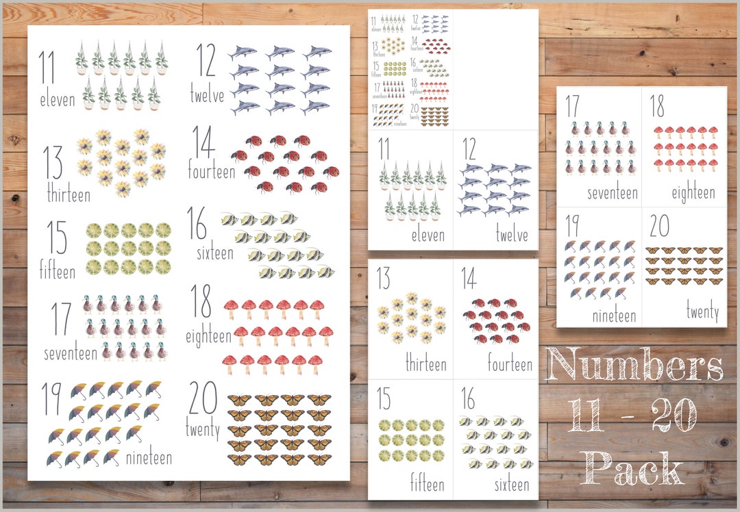 Numbers 11-20 Poster & Cards | Printable Learning Pack for Kids ...