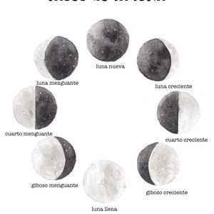 DIGITAL Spanish Learning Posters | ABC, Numbers & Moon Phases Printable ...