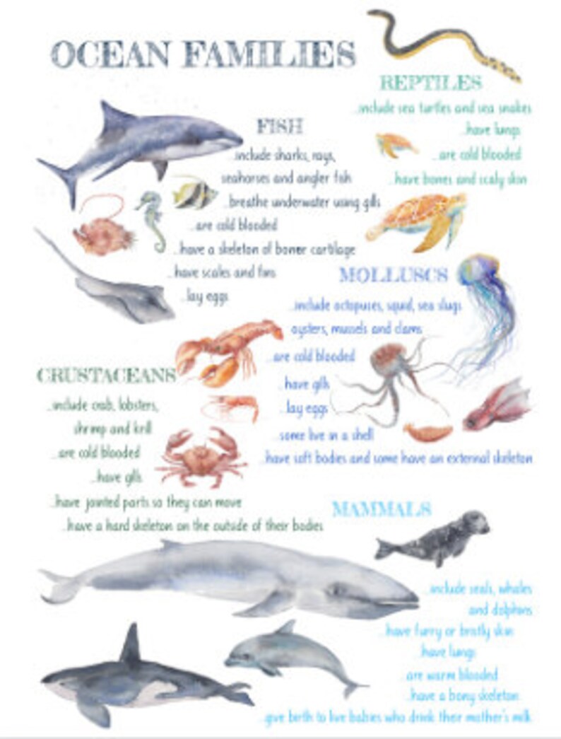 DIGITAL Oceans Everything Pack - Etsy Canada