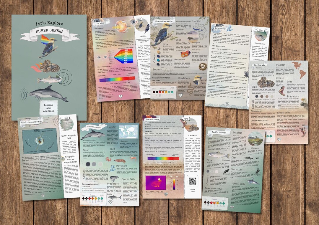 Animal Super Senses Printable | Homeschool Science Curriculum (digital ...