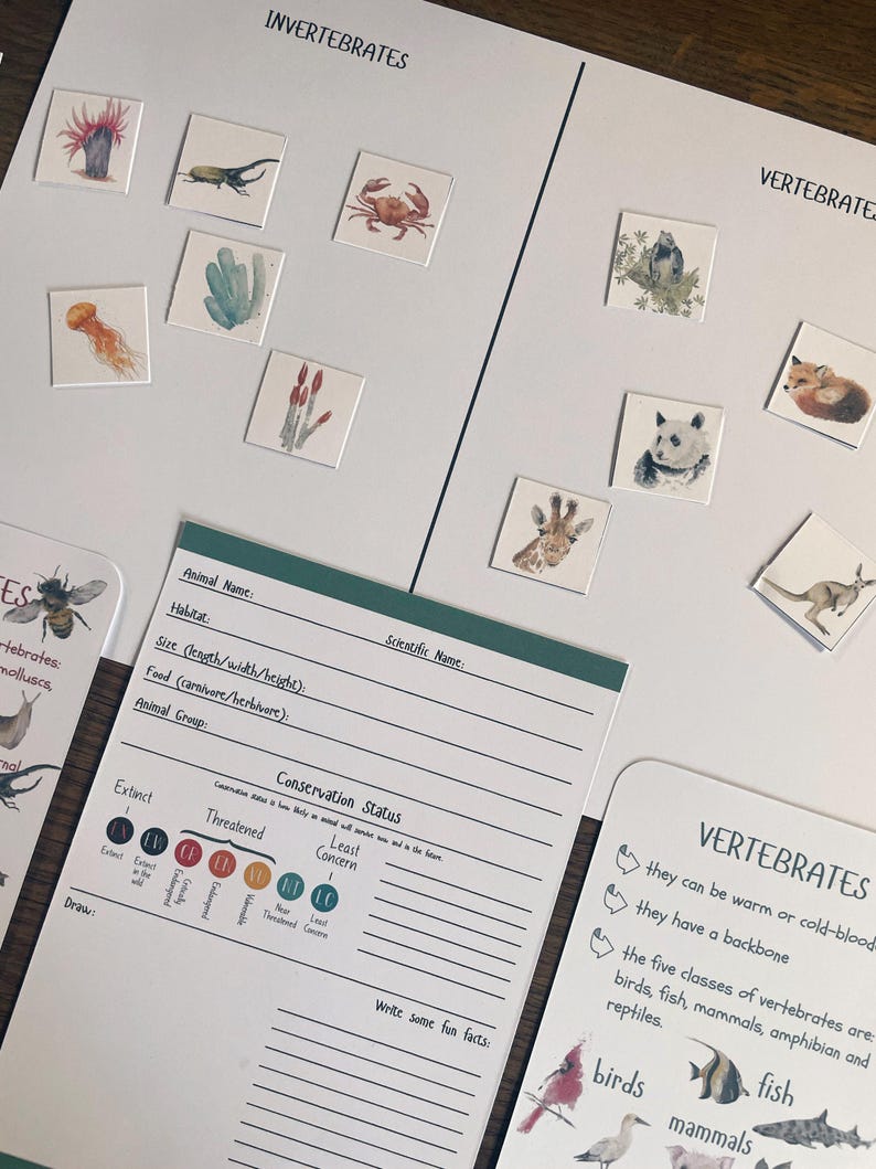DIGITAL Large Watercolor Animal Groups Cards | Invertebrates ...