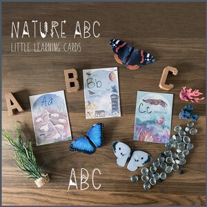 Nature ABC Card Pack | DIGITAL Homeschool Preschool Alphabet Printables ...