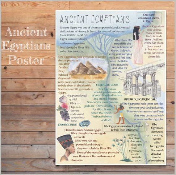 Infographic Digital Poster