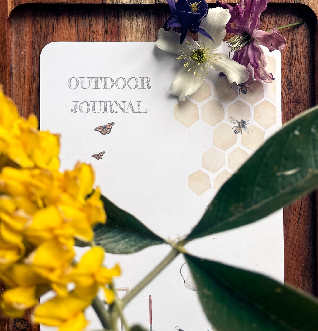 Digital Outdoor Journal | Printable Nature Journal for Kids - Etsy