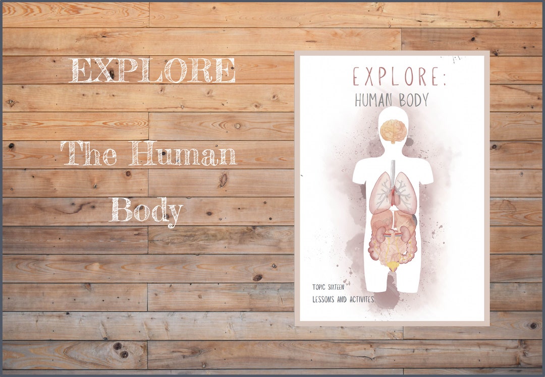 DIGITAL Human Body Curriculum | Explore Anatomy | Homeschool Lesson ...