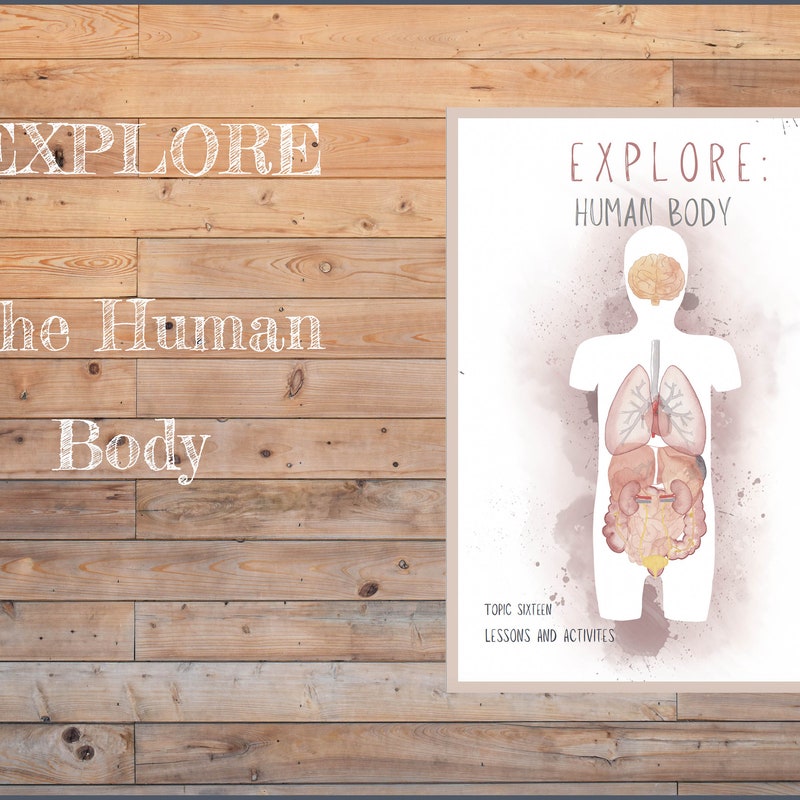Middle School Human Body - Etsy