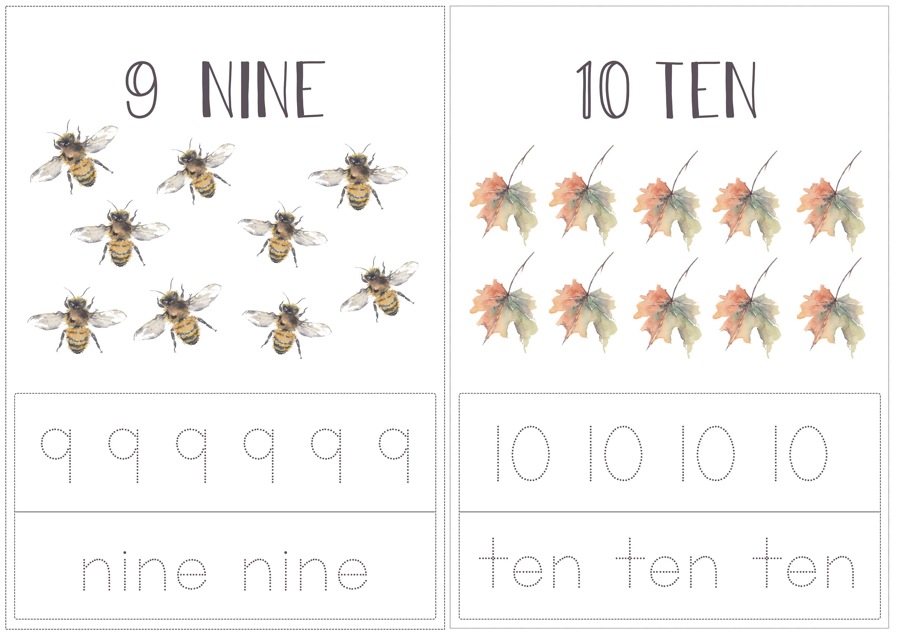 DIGITAL Botanical Numbers Poster and Tracing Cards Montessori - Etsy UK
