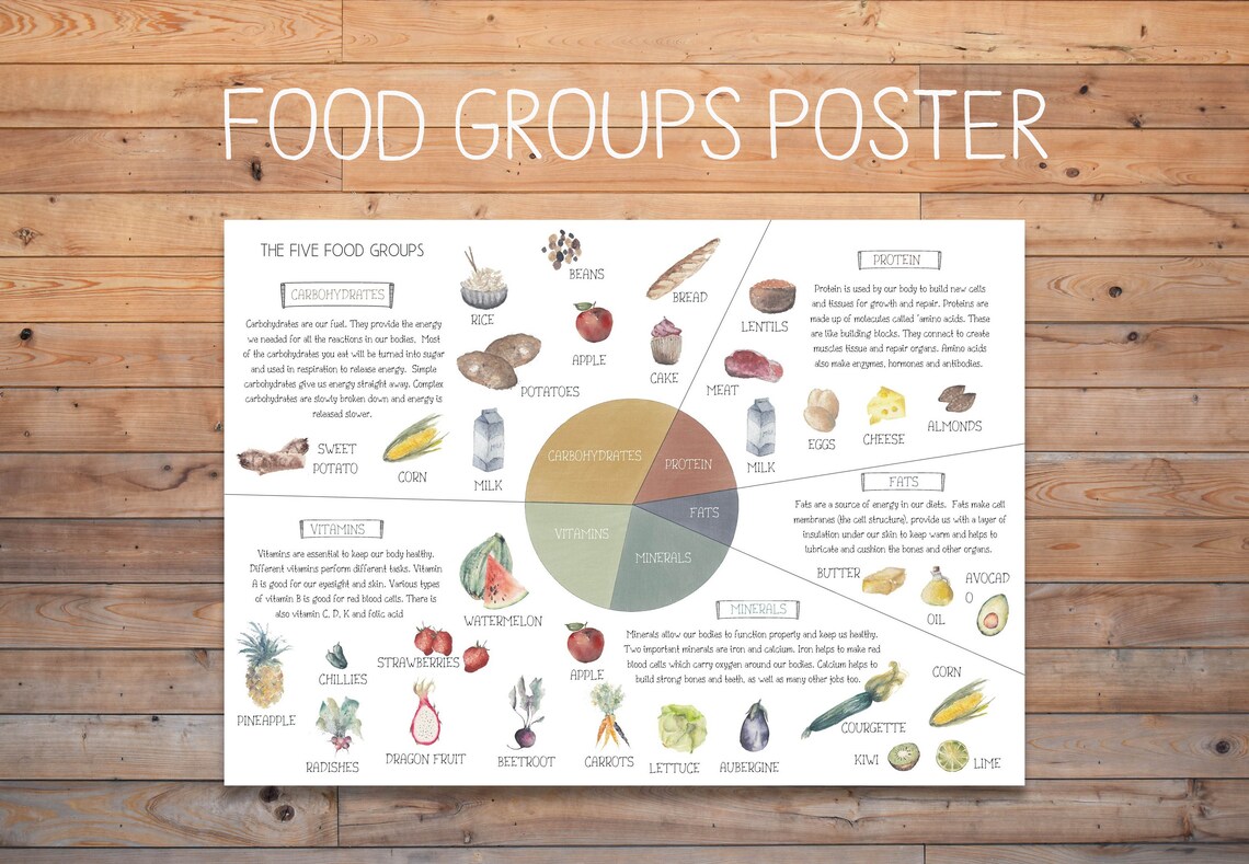 DIGITAL Food Groups Poster | Nutrition & Healthy Eating Printable - Etsy