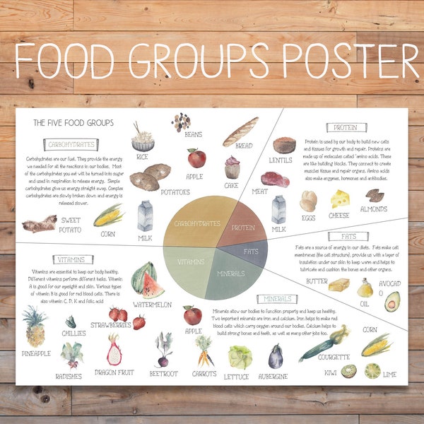 Food Groups Poster - Etsy