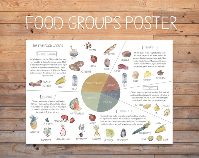 Healthy Food Pyramid Chart for Kids Learning, Food Poster, School ...