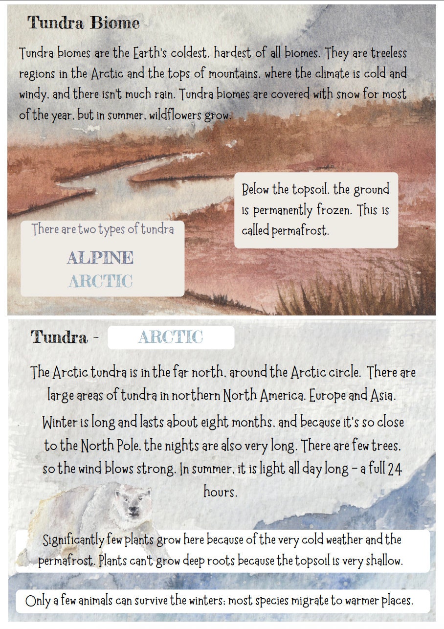 DIGITAL Watercolour Biomes Card Pack | Homeschool Geography & Science ...