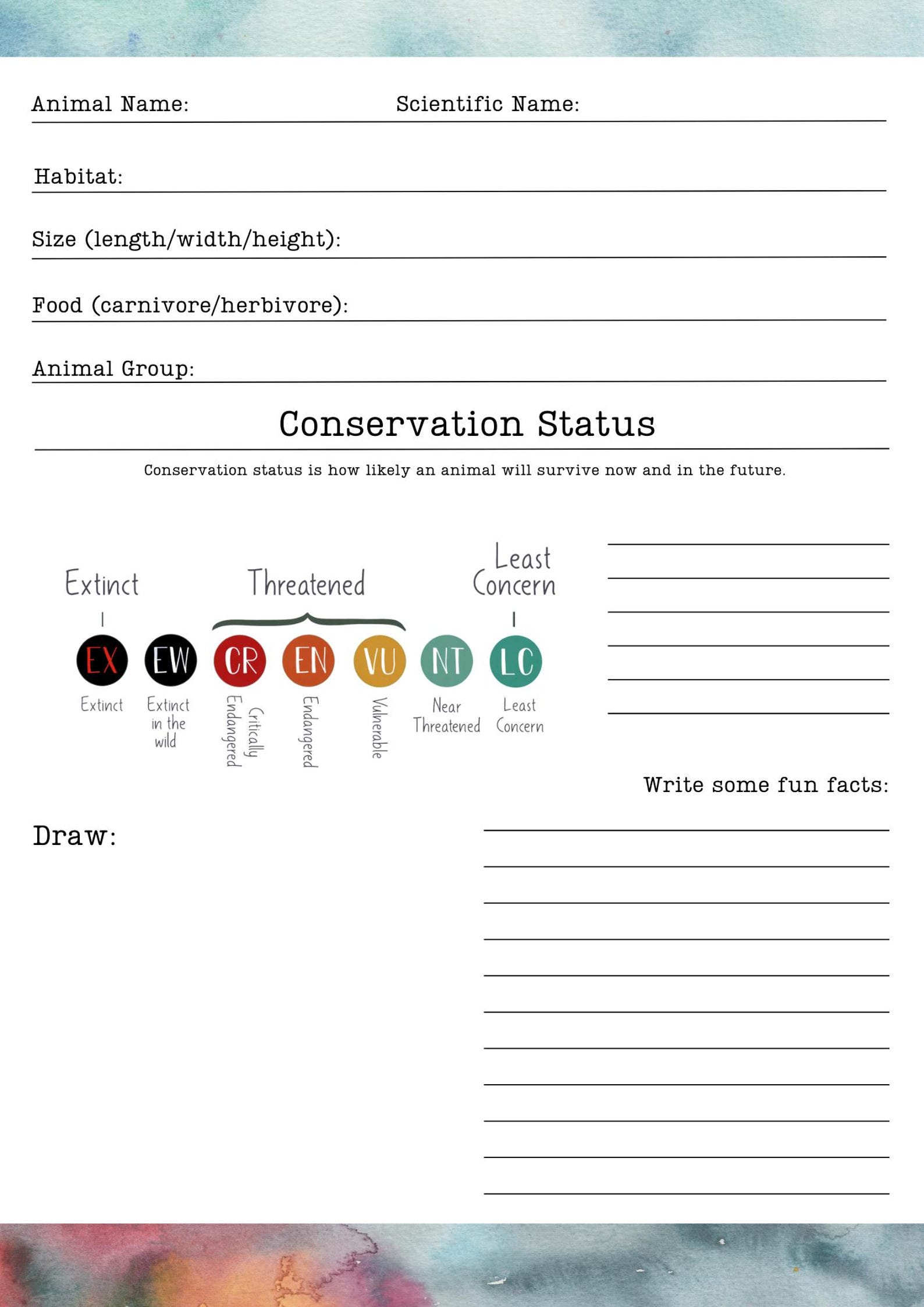 Digital Coral Reef Educational Pack | Printable Science Resource for ...