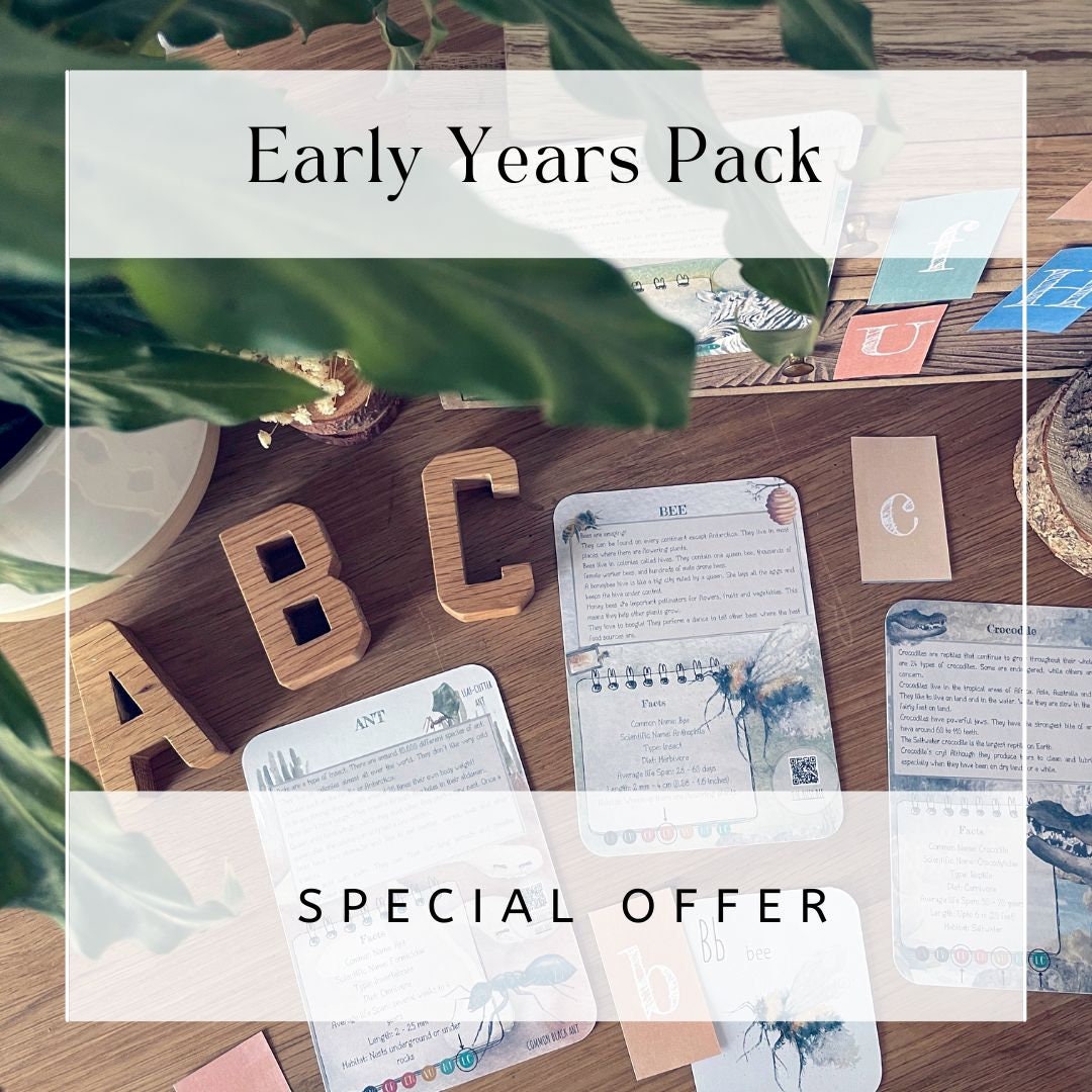Early Years Learning Bundle | 28 Printable Activity Packs for Kids ...