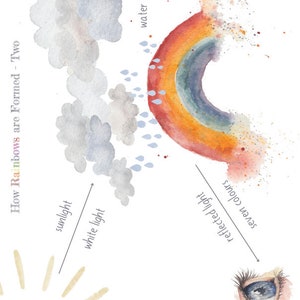 DIGITAL Rainbow Science Education Pack | Homeschool STEM Printable ...