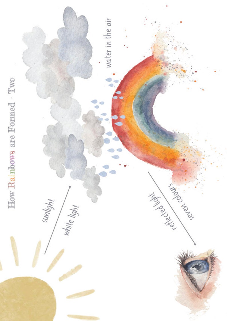 DIGITAL Rainbow Science Education Pack Montessori Materials - Etsy