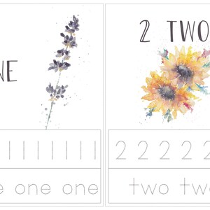 DIGITAL Botanical Numbers Poster and Tracing Cards - Etsy