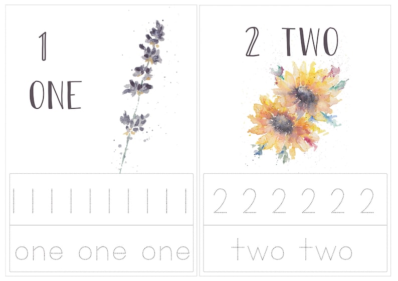 Digital Botanical Numbers Poster & Tracing Cards | Printable Math and ...