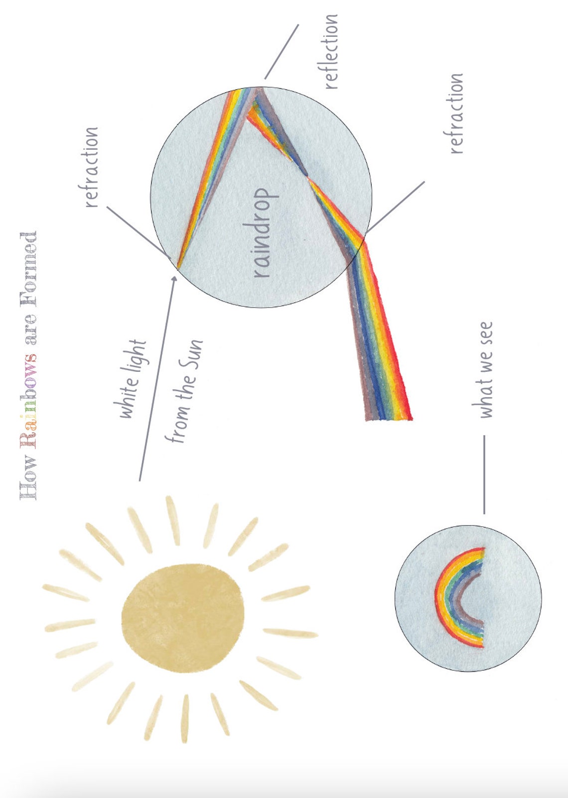 DIGITAL Rainbow Science Education Pack Montessori Materials - Etsy
