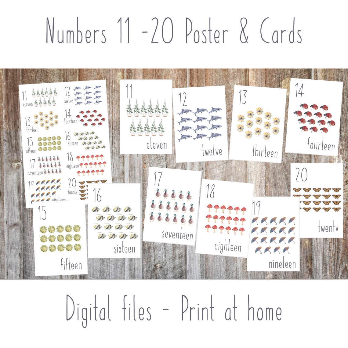 DIGITAL Number 11 20 Poster and cards montessori materials | Etsy