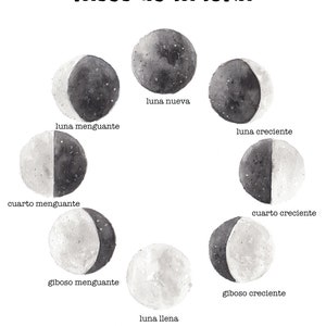 DIGITAL Spanish Moon Phases & Solar System Pack | Homeschool Science ...