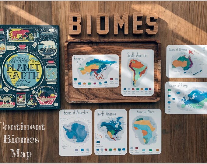 Biomes Game - Etsy
