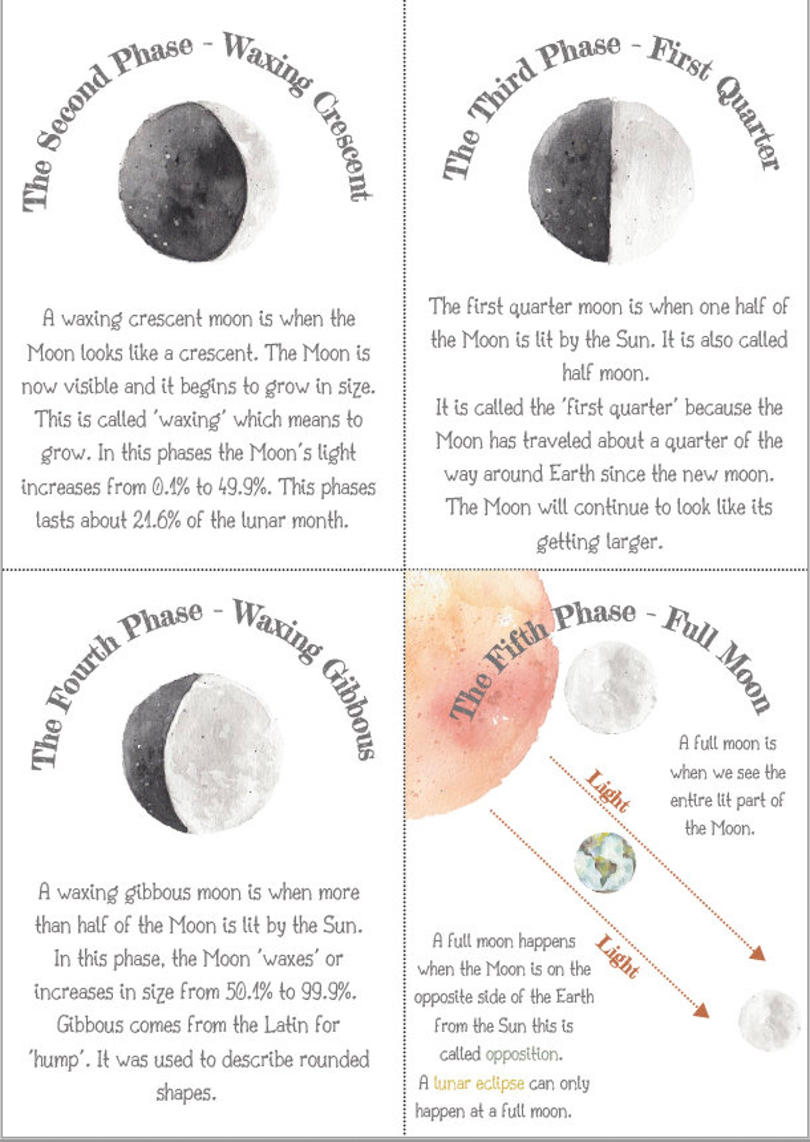 DIGITAL Moon Phases Educational Pack Montessori Materials - Etsy