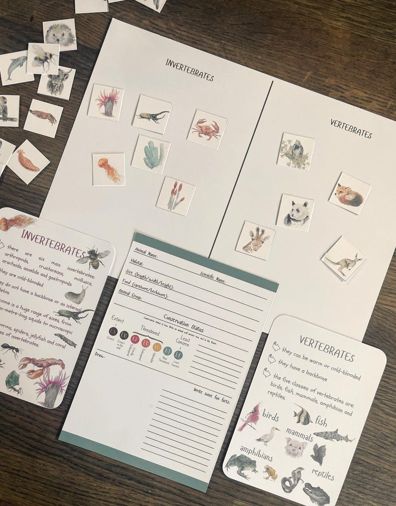 DIGITAL Large Watercolor Animal Groups Cards | Invertebrates ...