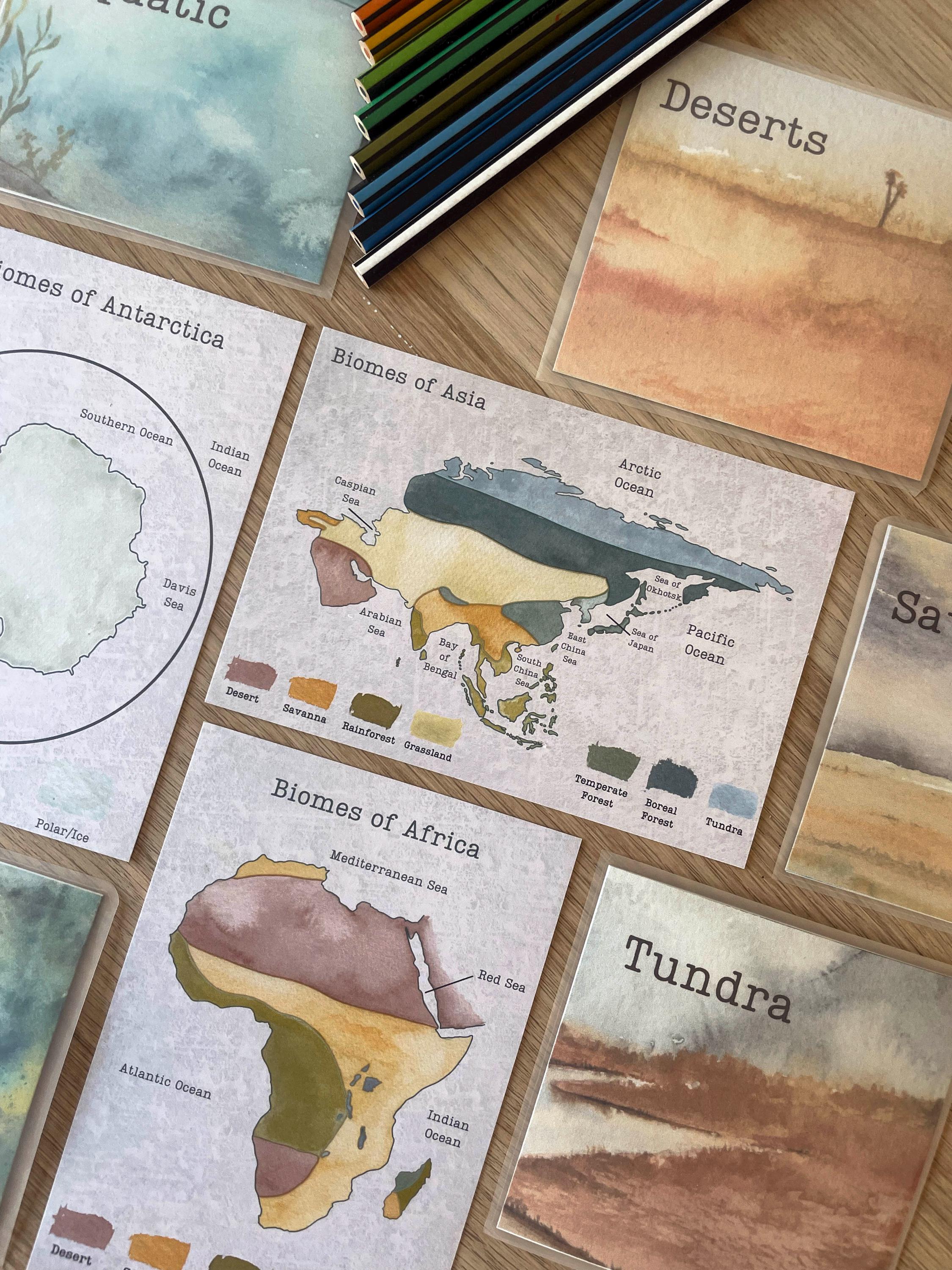 DIGITAL Continent Biomes Maps | Homeschool, Waldorf & Montessori ...