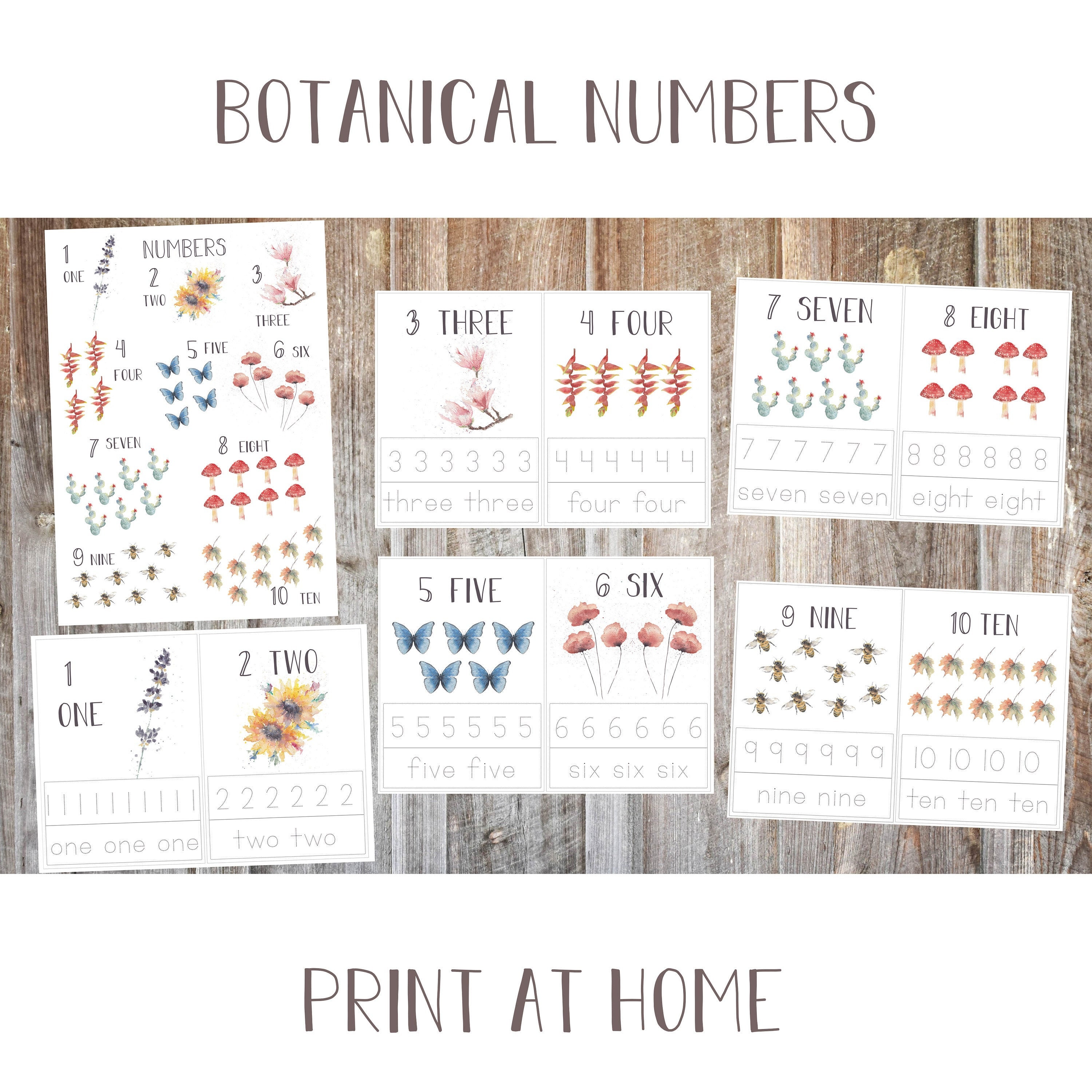 DIGITAL Botanical Numbers poster and tracing cards montessori | Etsy
