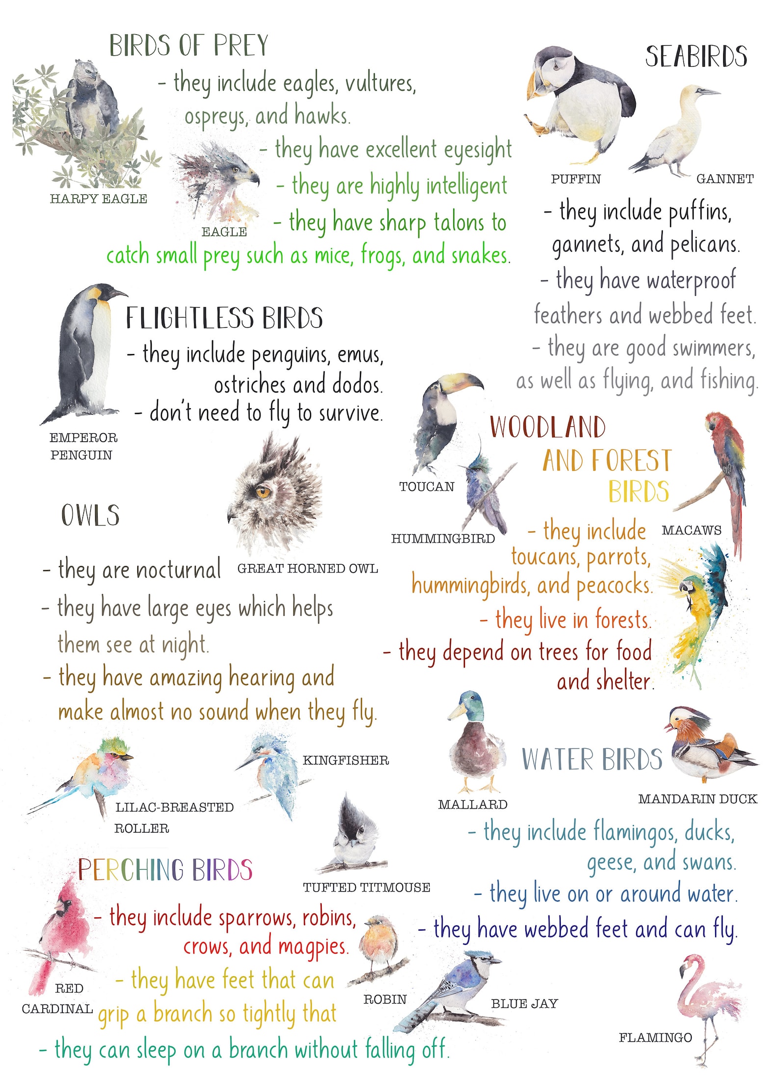 DIGITAL Animal Groups and Ocean Families Poster Montessori - Etsy