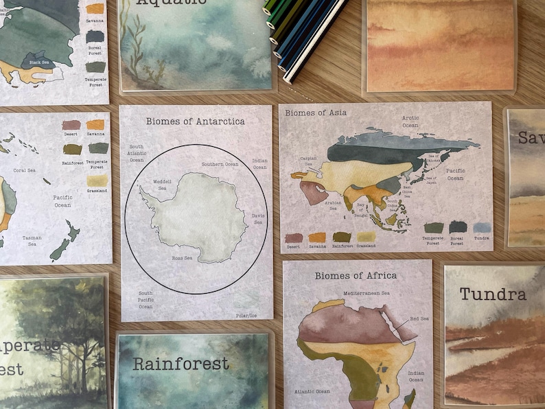 DIGITAL Continent Biomes Maps | Homeschool, Waldorf & Montessori ...