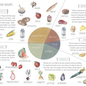 DIGITAL Food Groups Poster | Nutrition & Healthy Eating Printable - Etsy