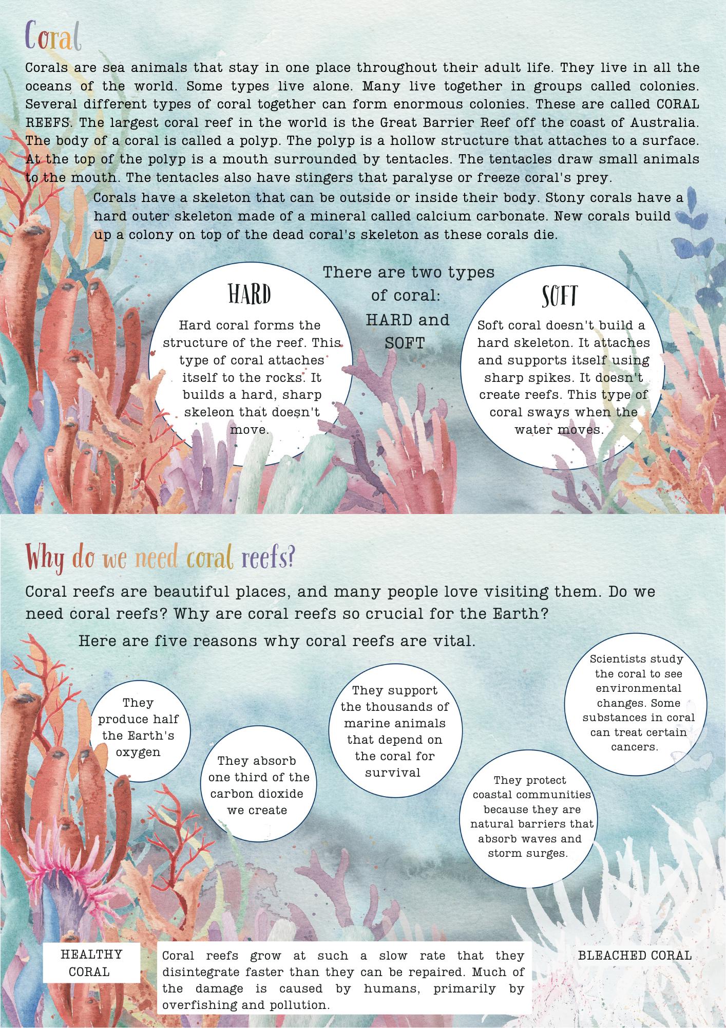 Digital Coral Reef Educational Pack | Printable Science Resource for ...