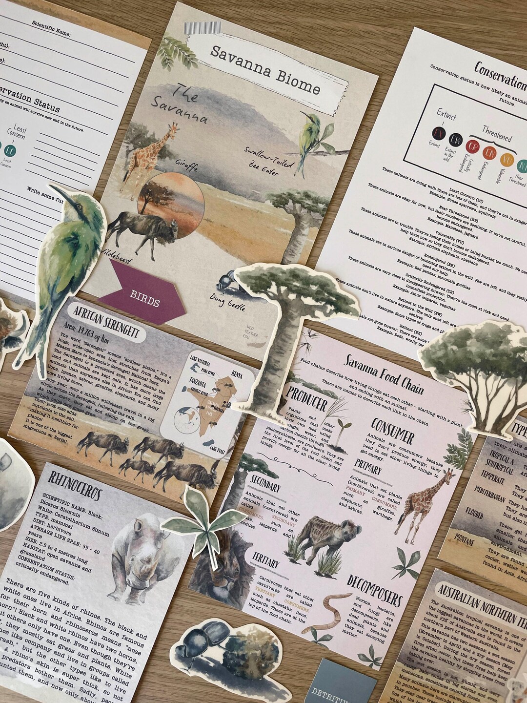 Digital Savanna Watercolour Cards | Learn About Wildlife & Ecosystems ...