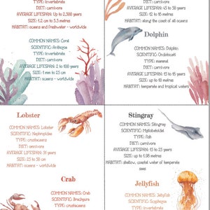 DIGITAL Coral Reef Educational Pack - Etsy