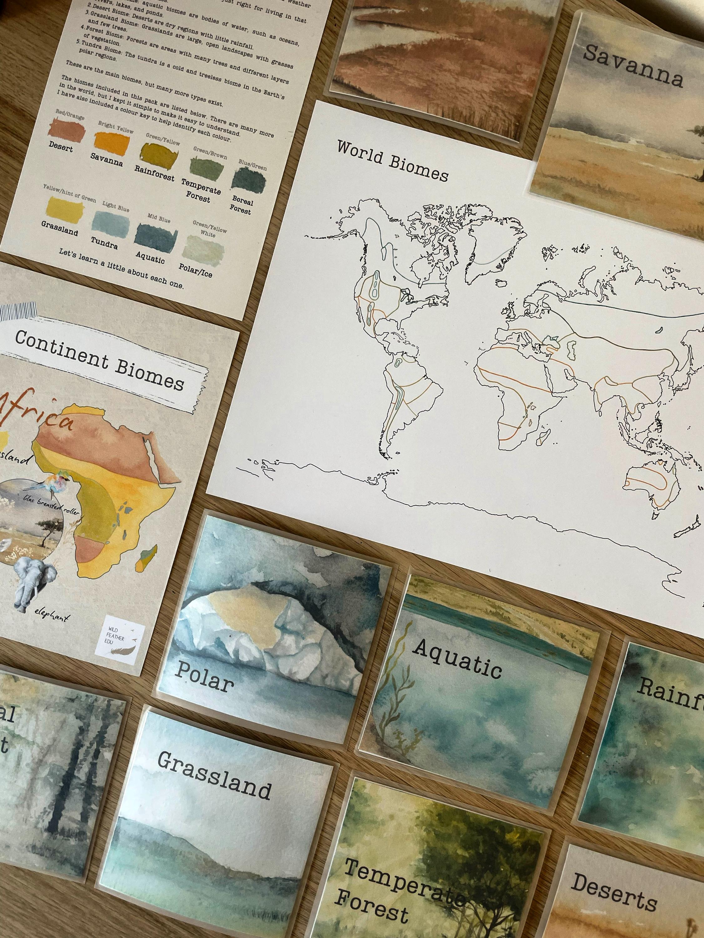 DIGITAL Continent Biomes Maps | Homeschool, Waldorf & Montessori ...