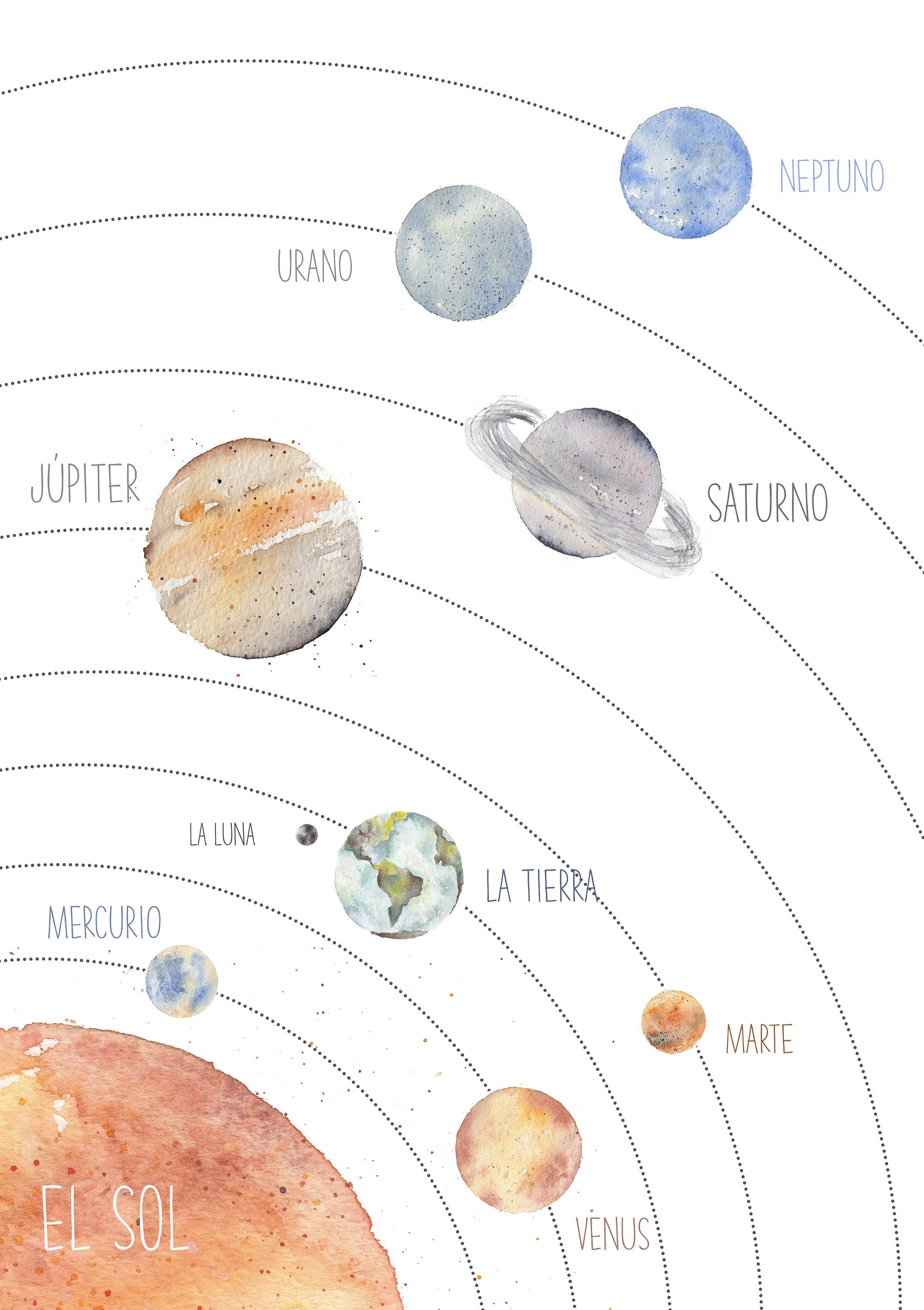 Phases Of The Moon Spanish