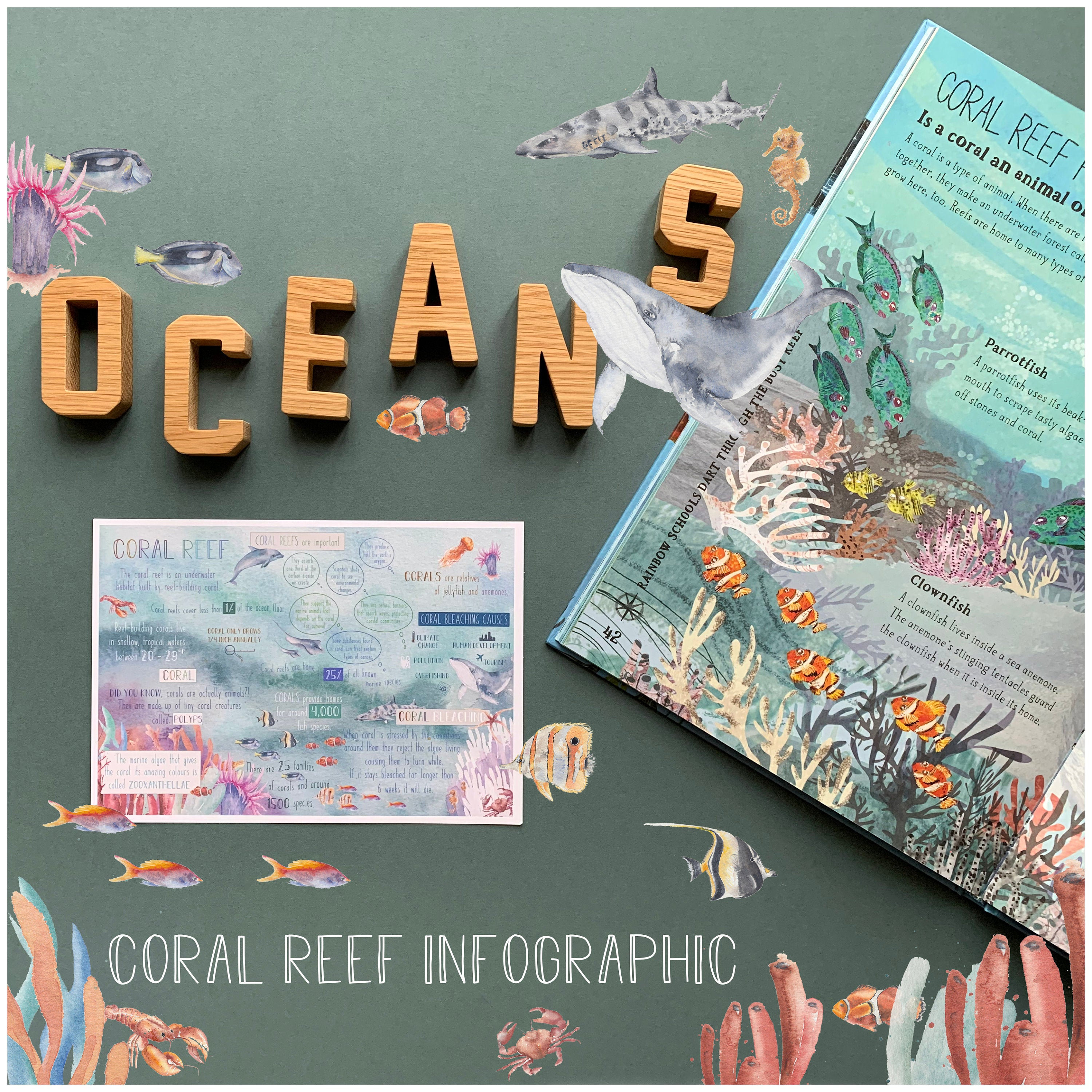 DIGITAL Coral Reef Infographic Climate Change Coral | Etsy Australia