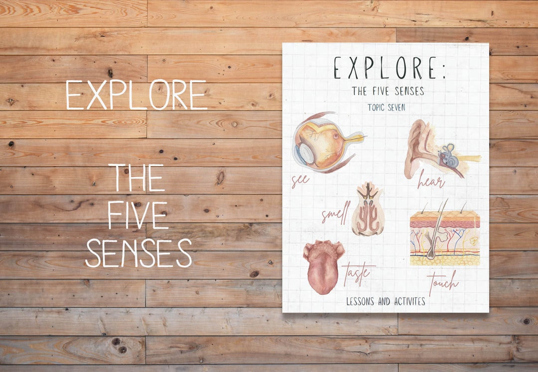 Five Senses Lesson Plan | Printable Science Resource (digital Download ...