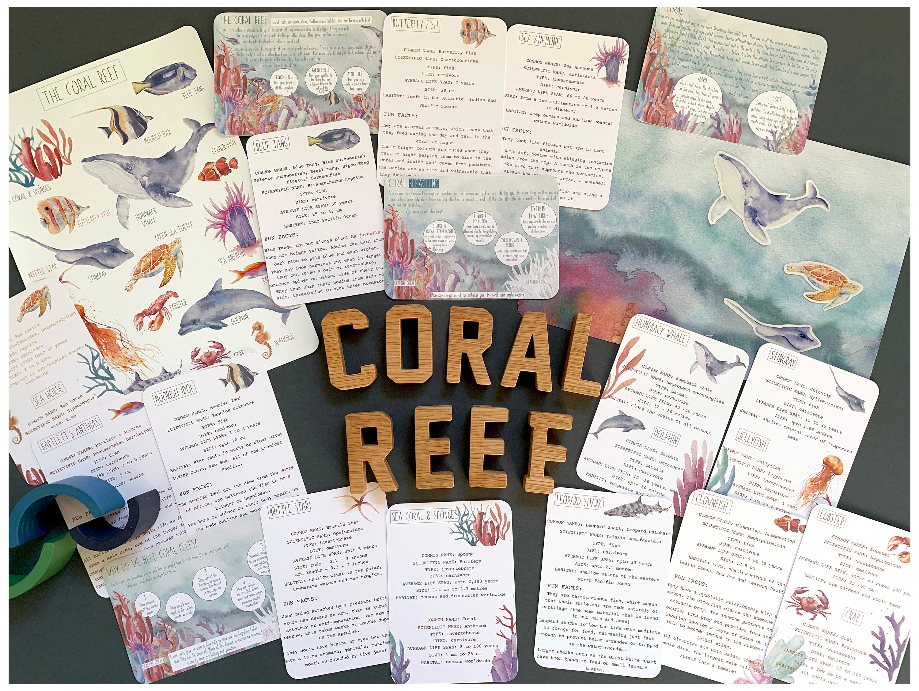 DIGITAL Coral Reef Educational Pack Coral Reef Worksheet - Etsy Canada