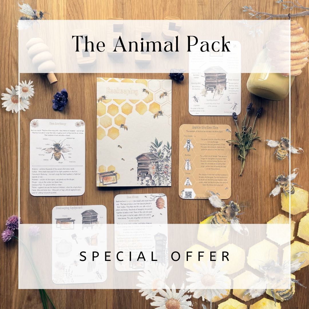 DIGITAL Animals Pack, Special Offer - Etsy