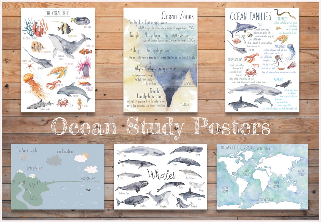 DIGITAL Oceans Posters | Homeschool Science & Marine Life Printables ...