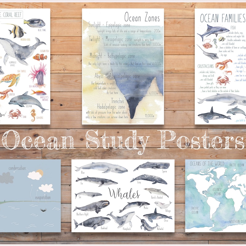 Ocean Posters - Etsy