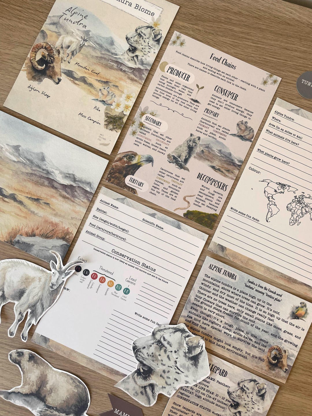 DIGITAL Alpine Tundra Watercolour Card Set | Homeschool Nature Study ...