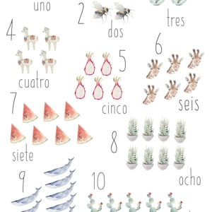 DIGITAL Spanish Numbers 1 - 20, Los Números - Etsy