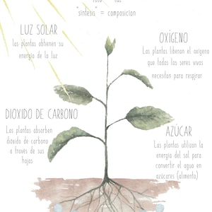 DIGITAL Planet Earth Posters SPANISH - Etsy