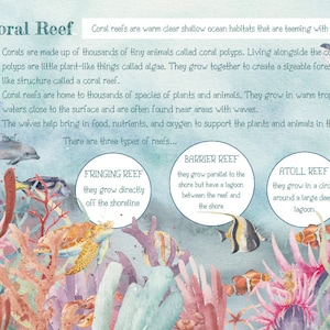 DIGITAL Coral Reef Educational Pack UPDATED, Homeschool, Montessori - Etsy