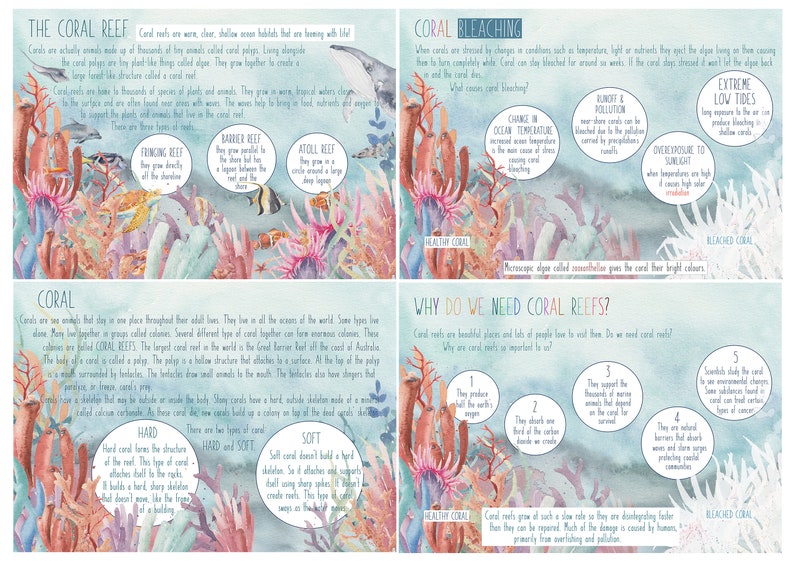 DIGITAL Coral Reef Educational Pack Coral Reef Worksheet | Etsy UK