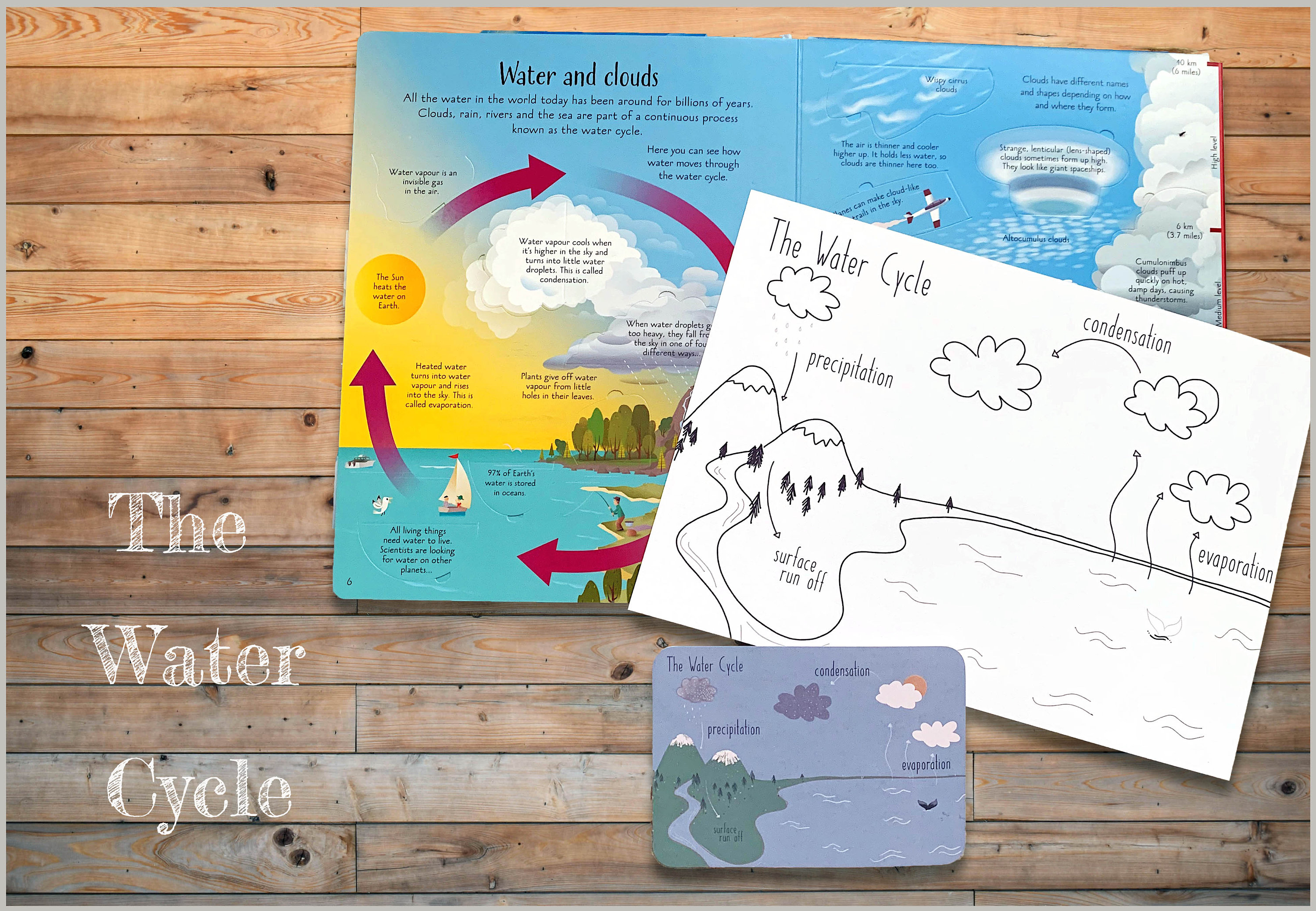 Water Cycle In Nature