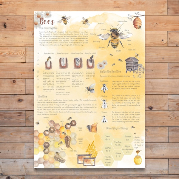 Bee Poster - Etsy